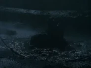 The Werewolf of Fever Swamp (TV episode) | Goosebumps Wiki | Fandom