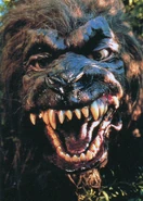 Welcome to Camp Nightmare (TV episode) | Goosebumps Wiki | Fandom