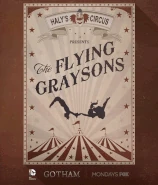 The Flying Graysons | Gotham Wiki | Fandom