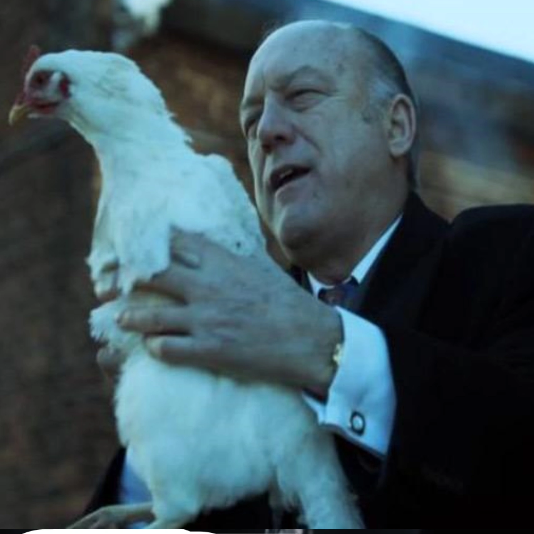 Carmine Falcone's chickens | Gotham Wiki | Fandom