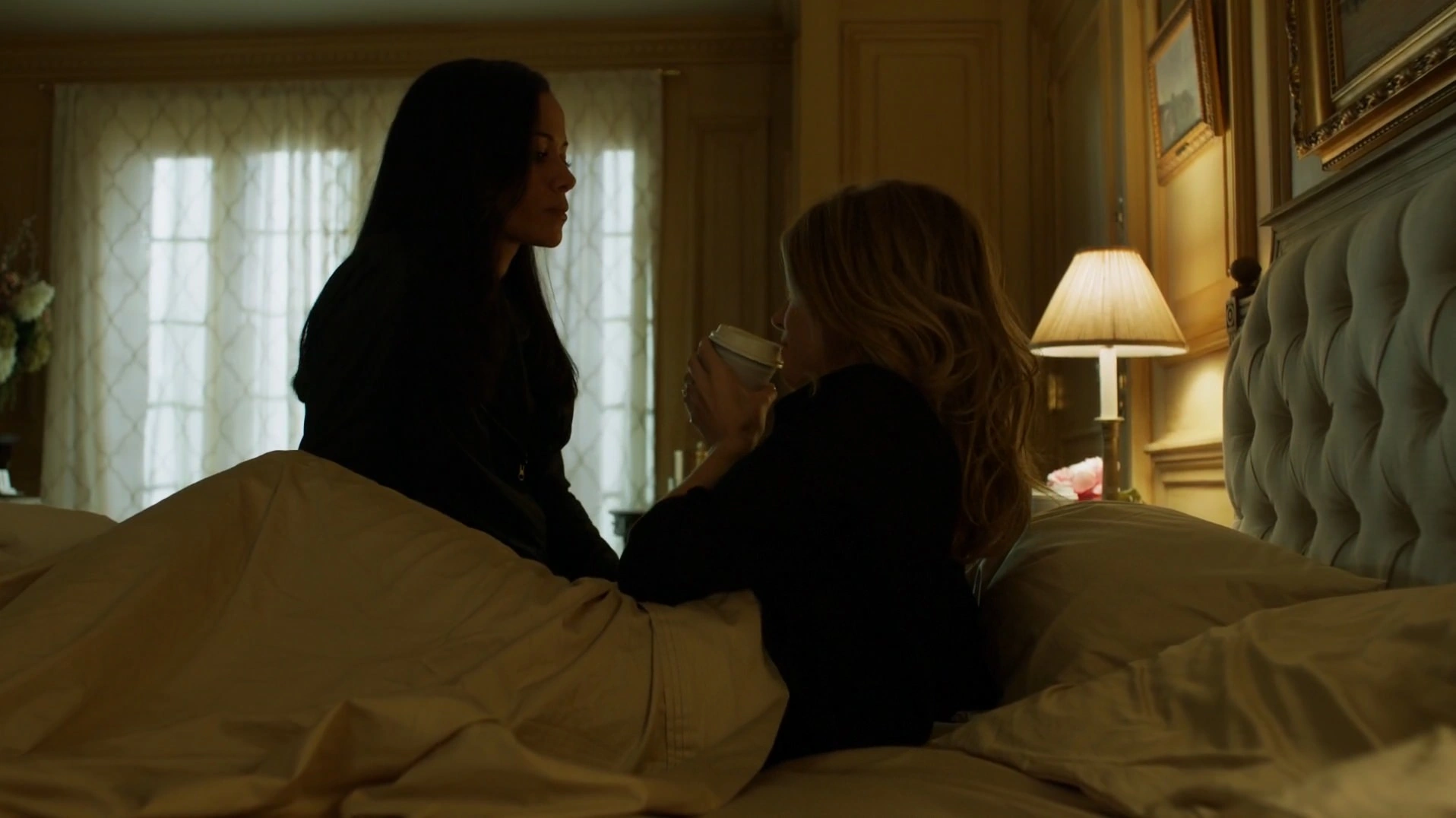 Image - Barbara Kean and Renee Montoya - Rogues' Gallery.png | Gotham Wiki | FANDOM powered by Wikia