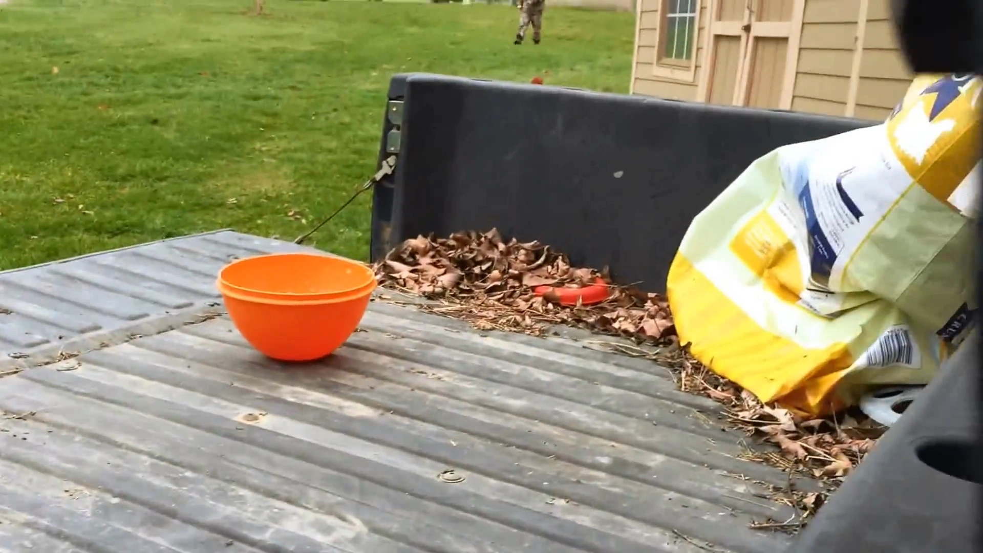 Stephen Quire/Gallery/Greatest freak out ever 33 | Greatest Freak Out ...