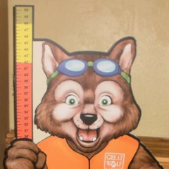 Wiley the Wolf | Great Wolf Lodge Wiki | Fandom