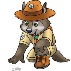 Wiley the Wolf | Great Wolf Lodge Wiki | Fandom