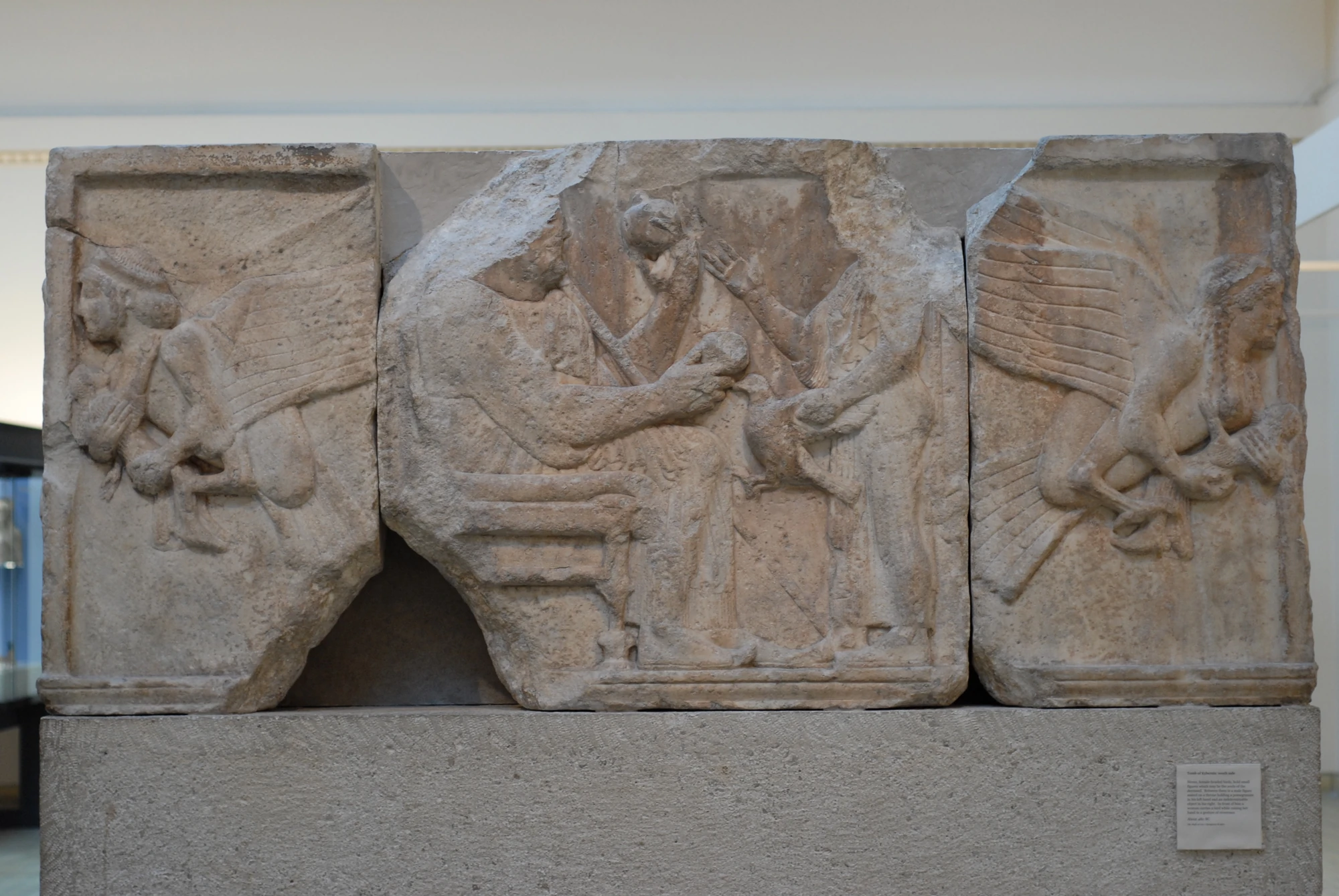 Harpyiai (Harpy) | Greek Mythology Wiki | FANDOM powered by Wikia