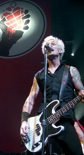 Mike Dirnt | Green Day Wiki | Fandom