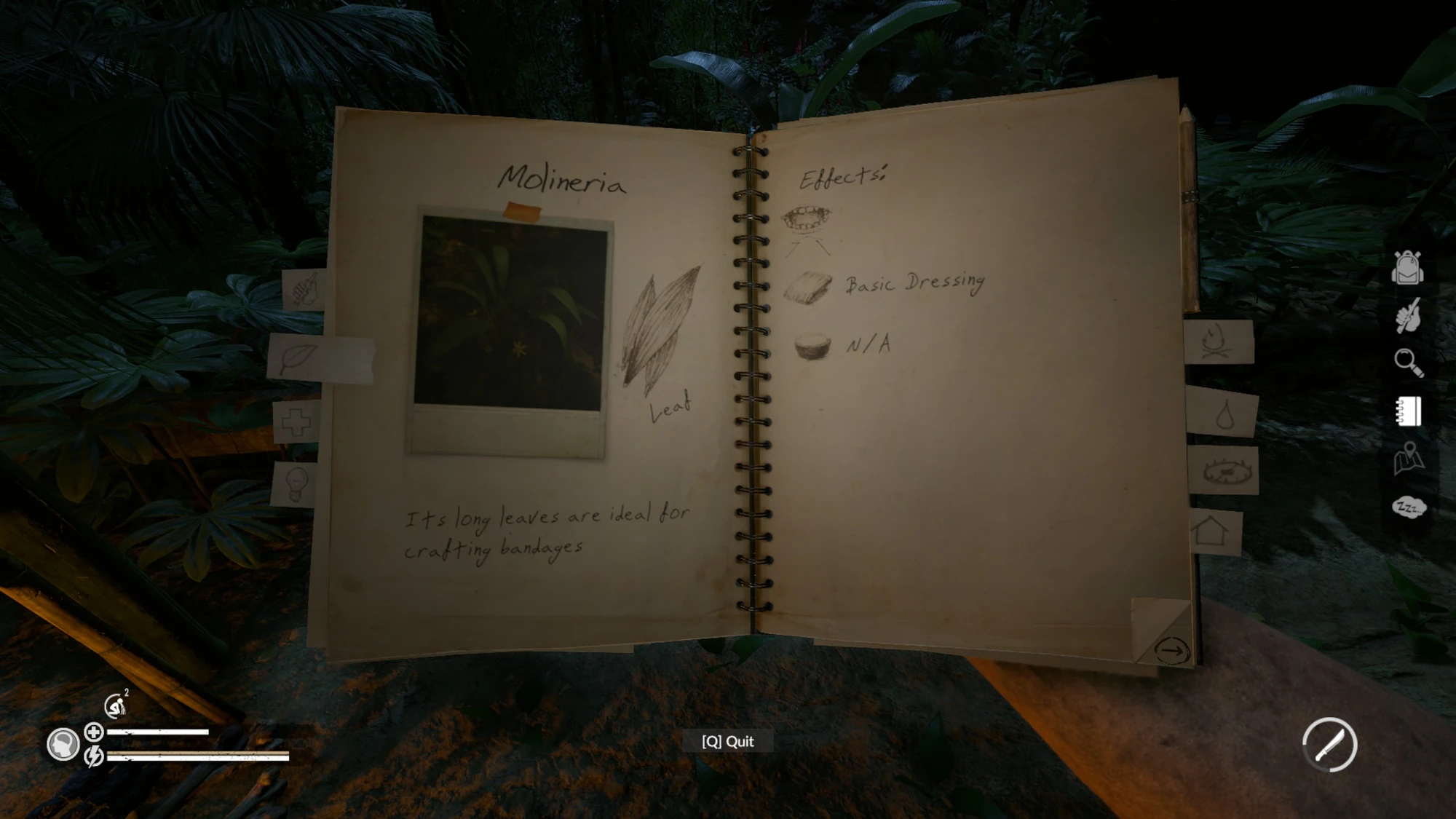 Molineria | Green Hell Wiki | Fandom