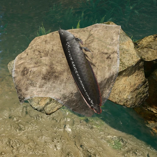 Arowana | Green Hell Wiki | Fandom