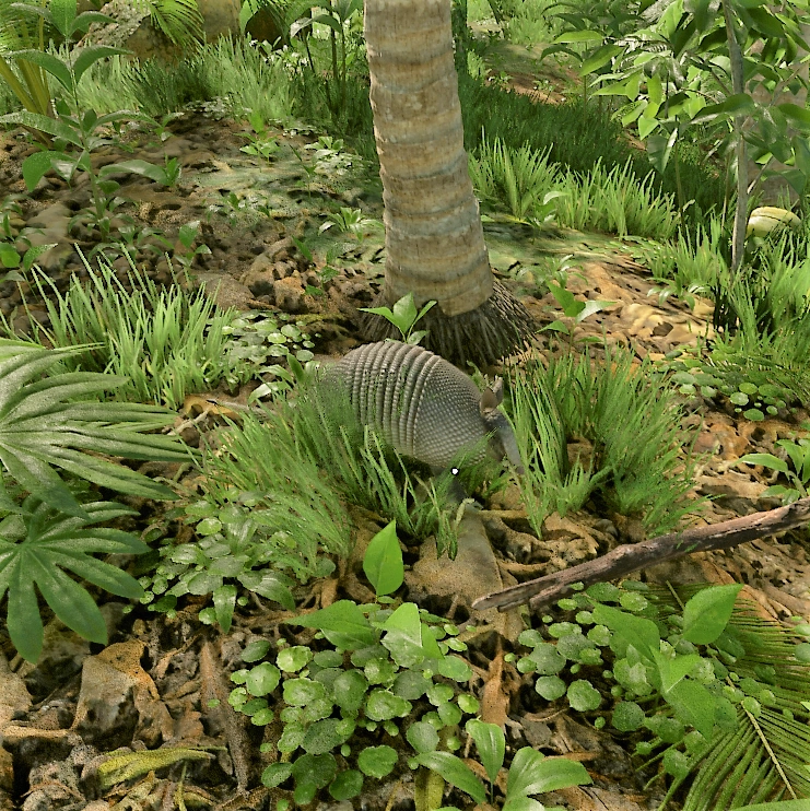 Armadillo | Green Hell Wiki | Fandom