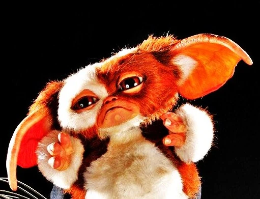 Image - 0382 2 lg2.jpg | Gremlins Wiki | FANDOM powered by Wikia