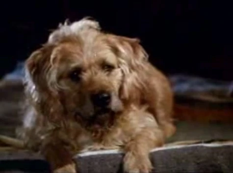 Barney | Gremlins Wiki | FANDOM powered by Wikia