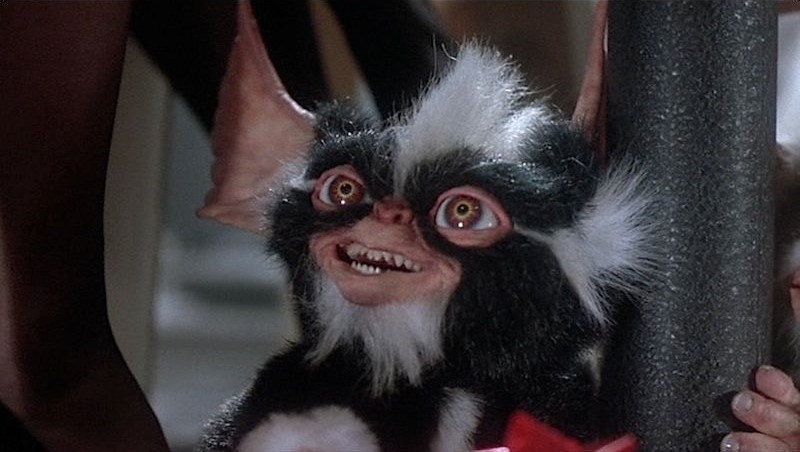 Mohawk Gremlins Wiki Fandom Powered By Wikia