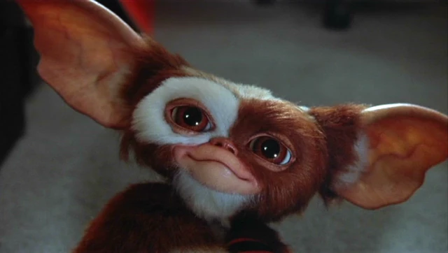 Image - Gizmo.PNG | Gremlins Wiki | FANDOM powered by Wikia
