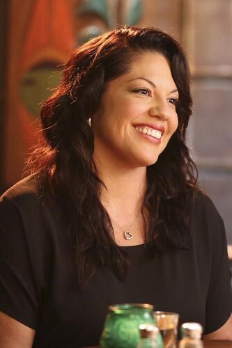 Callie Torres Greys Anatomy Wiki Fandom