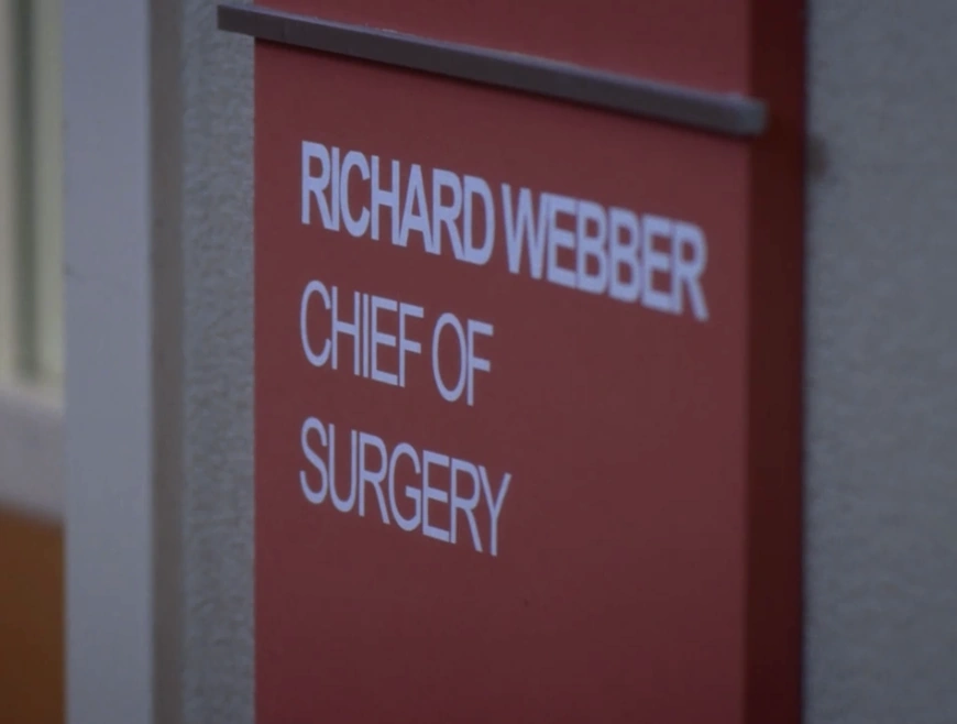 Chief of Surgery | Grey's Anatomy Universe Wiki | Fandom