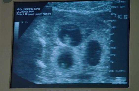 Monroe and Rosalee's Triplets | Grimm Wiki | Fandom