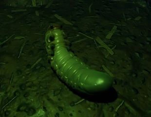 Grub | Grounded Wiki | Fandom