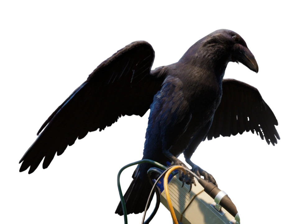 Crow | Grounded Wiki | Fandom