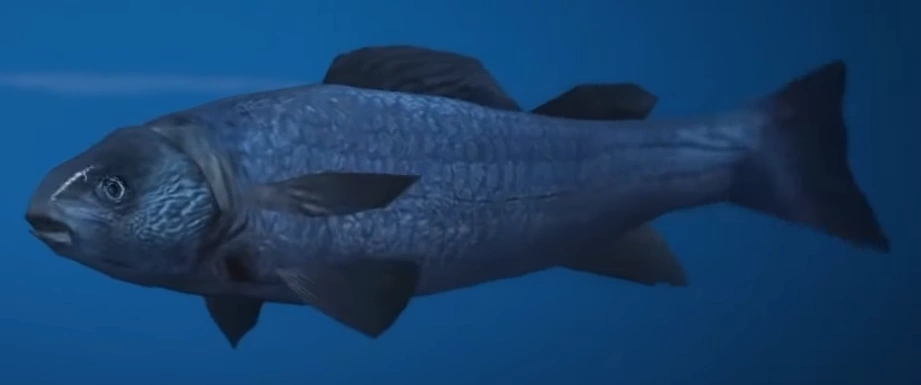 Fish | GTA Wiki | Fandom