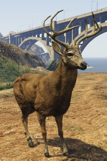 Deer | GTA Wiki | Fandom