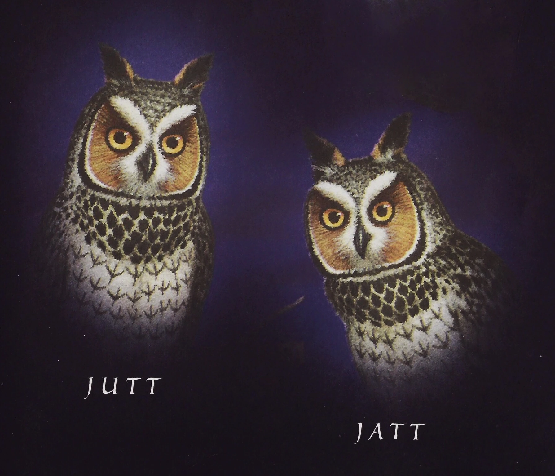 Jatt and Jutt (Books) | Guardians of Ga’Hoole Wiki | Fandom