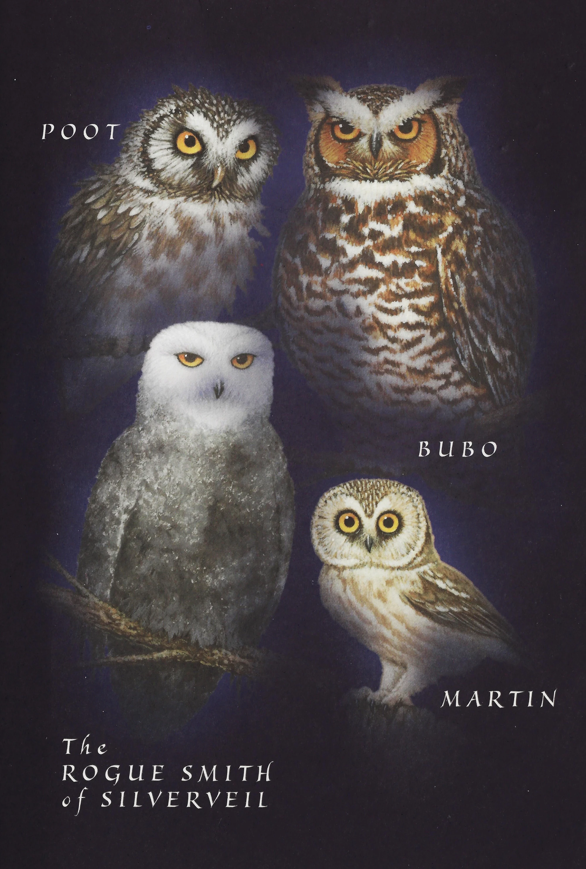 The Rescue | Guardians of Ga’Hoole Wiki | FANDOM powered by Wikia