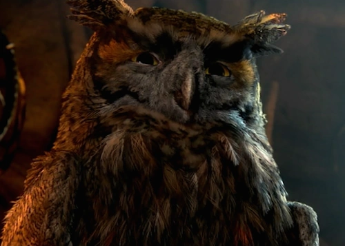 Bubo (Movie) | Guardians of Ga’Hoole Wiki | Fandom