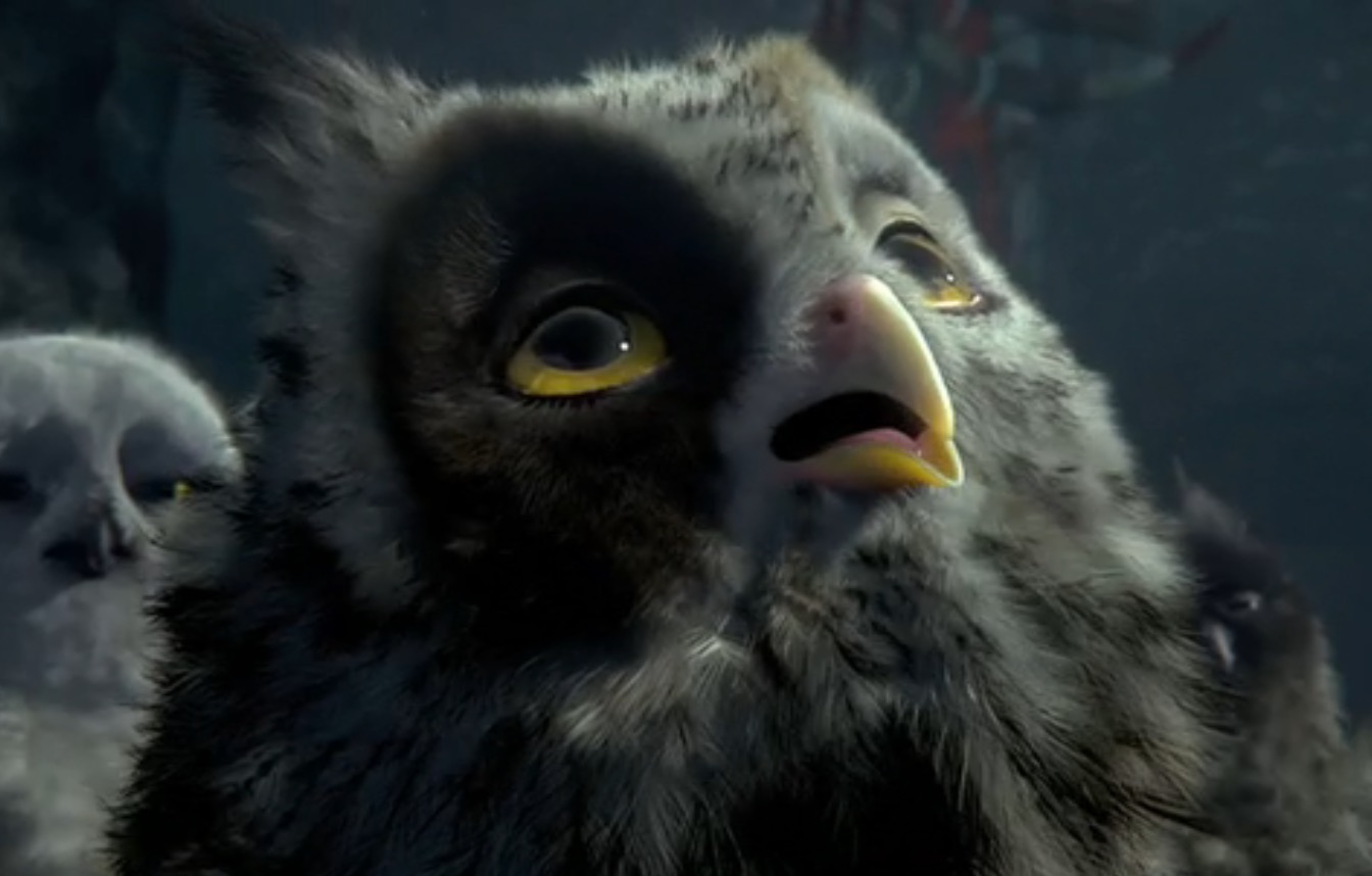 Category:Long-eared Owls | Guardians of Ga’Hoole Wiki | FANDOM powered ... Category:Long-eared Owls | Guardians of Ga’Hoole Wiki | FANDOM powered ...