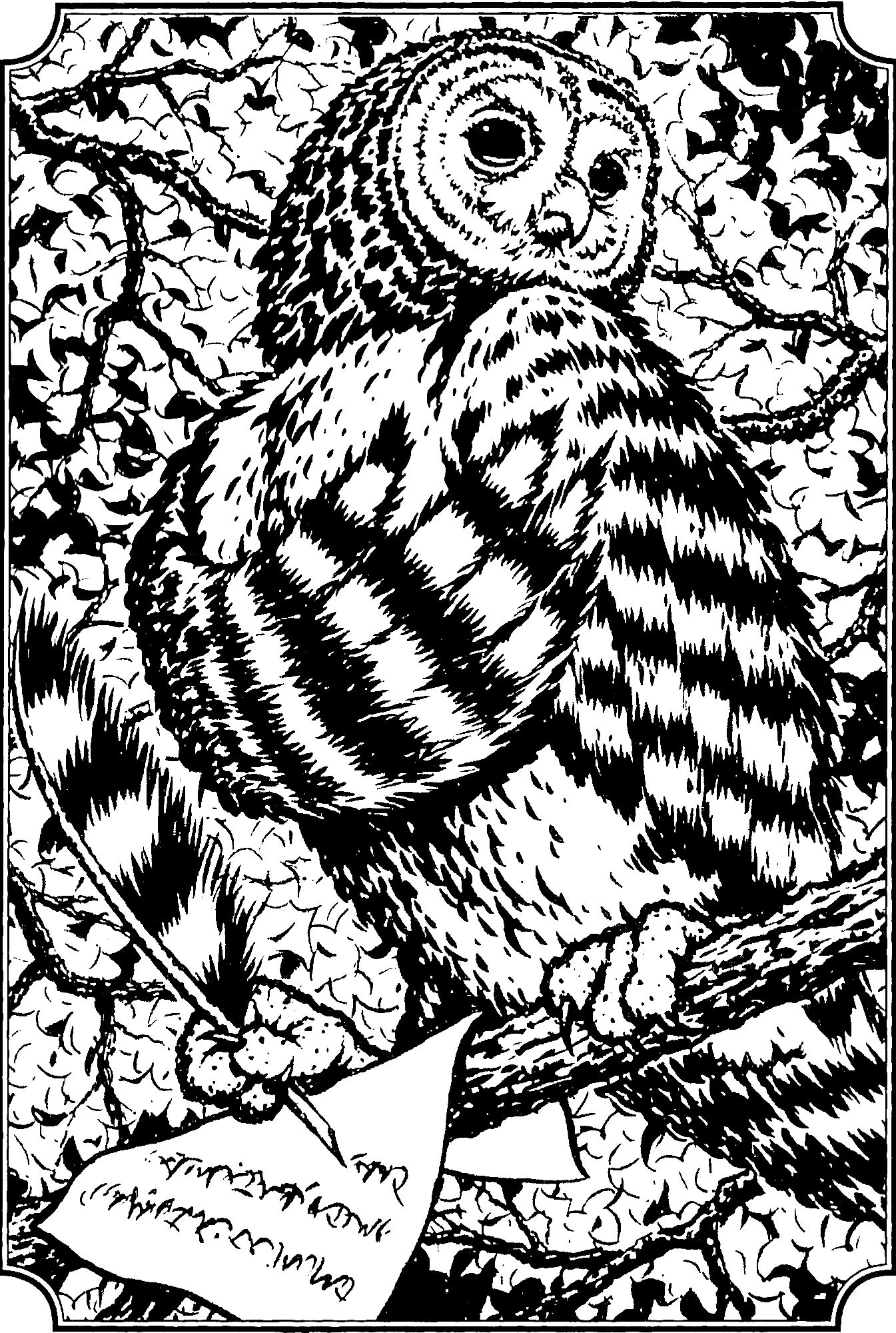 Otulissa (Books) | Guardians of Ga’Hoole Wiki | Fandom