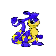 Zafara | Neopets Wiki | FANDOM powered by Wikia