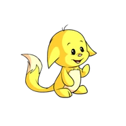 Kacheek | Neopets Wiki | FANDOM powered by Wikia