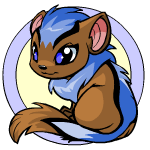 Xweetok | Neopets Wiki | FANDOM powered by Wikia