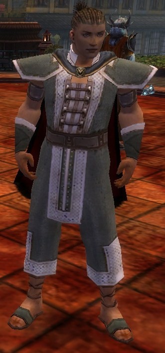 Armure De Moine Guild Wars Wikia Fandom Powered By Wikia