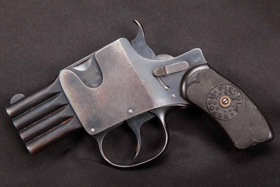 Schüler Reform | Gun Wiki | Fandom