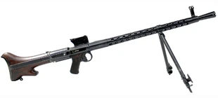 Steyr-Solothurn S2-200 | Gun Wiki | Fandom