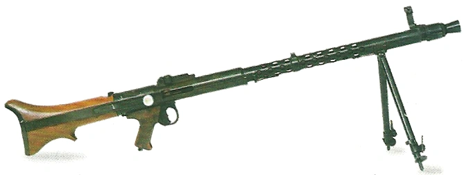 Steyr-Solothurn S2-200 | Gun Wiki | Fandom