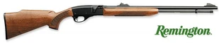 Remington Model 552 | Gun Wiki | Fandom
