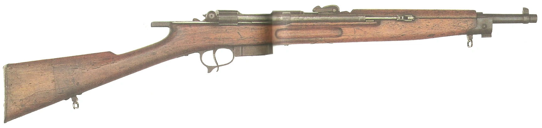 Cei-Rigotti | Gun Wiki | Fandom