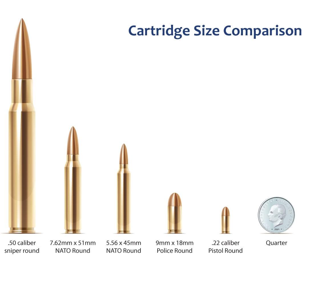 Image Rifle Cartridge Comparison jpg Gun Wiki FANDOM Powered By Wikia image-rifle-cartridge-comparison-jpg-gun-wiki-fandom-powered-by-wikia