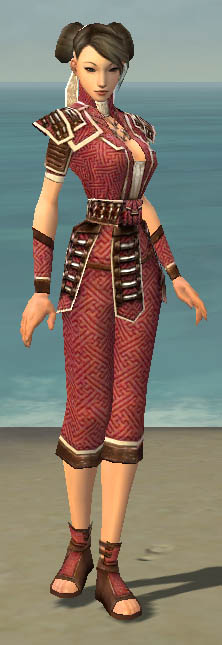 Monk Elite Judge Armor Guildwars Wikia Fandom Powered By Wikia