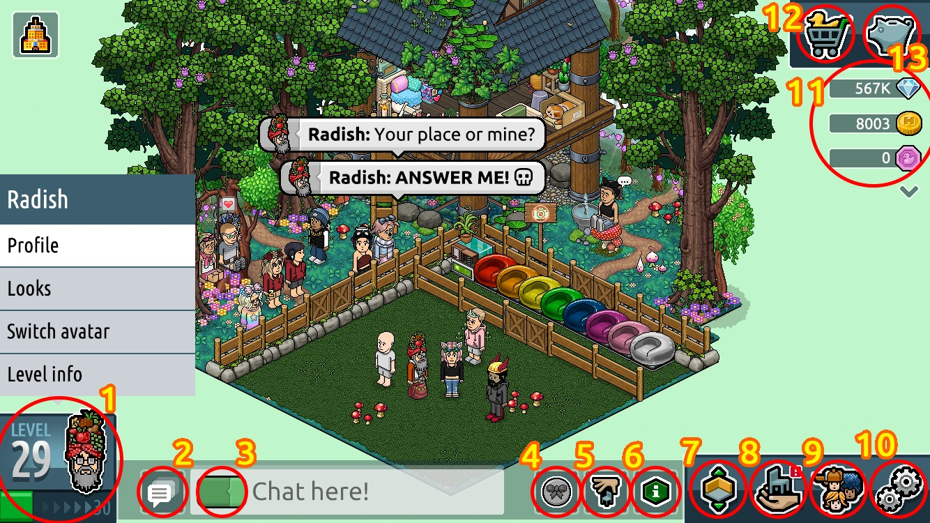 Client | Habbo Wiki | Fandom