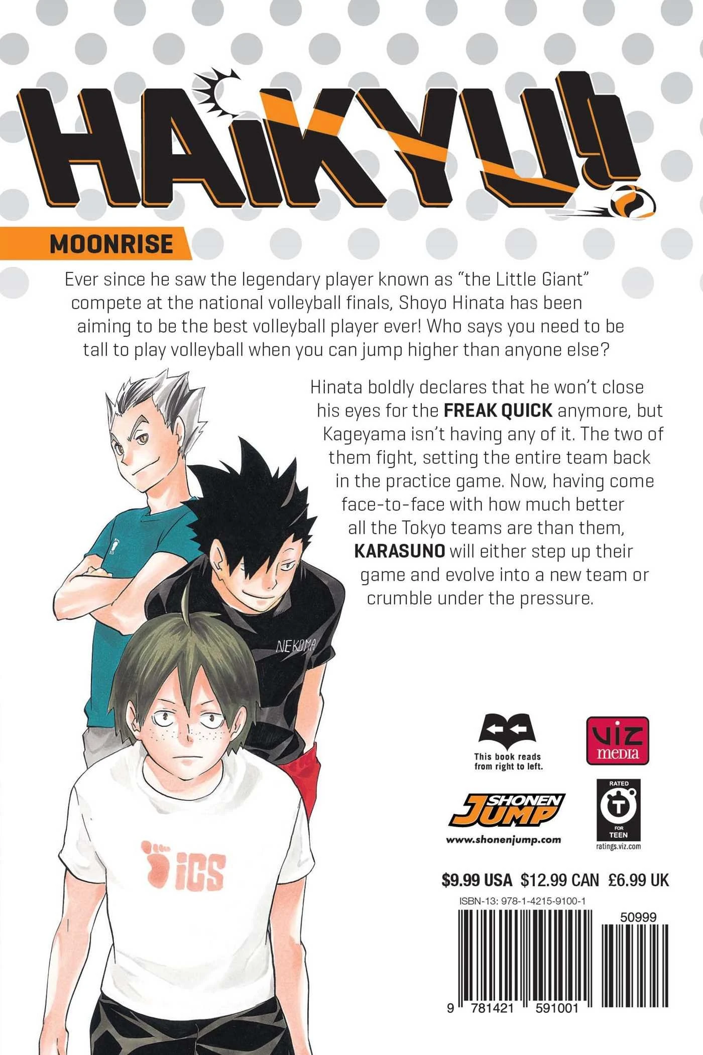 Image - Vol 10 english back cover.jpg | Haikyuu!! Wiki | FANDOM powered ...