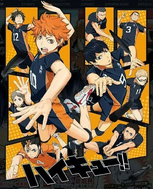 Haikyū!! (Manga) | Wiki Haikyuu!! | Fandom