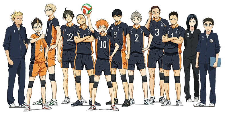 Karasuno | Wiki Haikyuu | Fandom