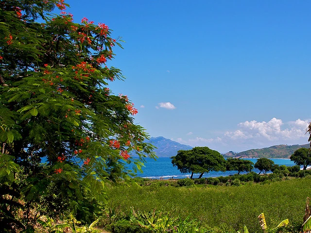 Bas-Limbé | Haiti Local | Fandom
