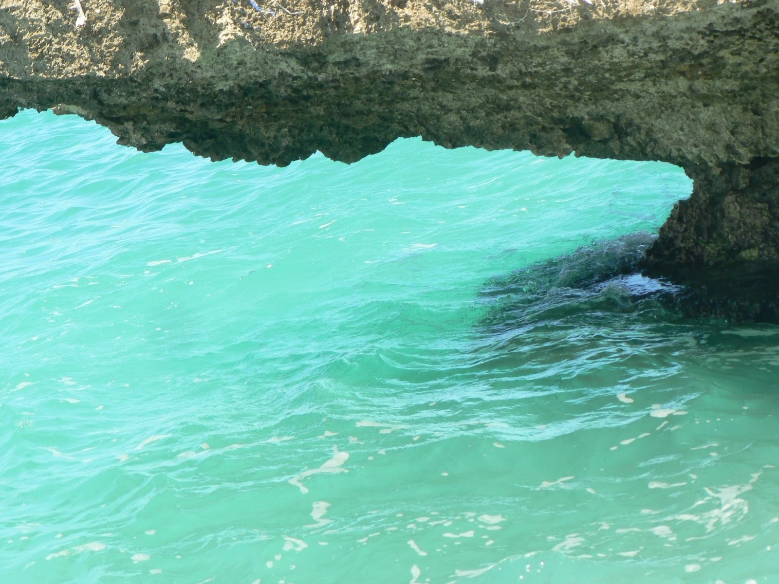 Roche-à-Bateaux | Haiti Local | Fandom