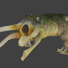 Bullsquid | Half-Life Wiki | Fandom