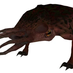 Bullsquid | Half-Life Wiki | FANDOM powered by Wikia