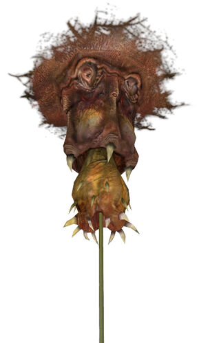 Barnacle | Half-Life Wiki | FANDOM powered by Wikia