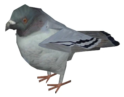 Image - Pigeon.jpg | Half-Life Wiki | FANDOM powered by Wikia